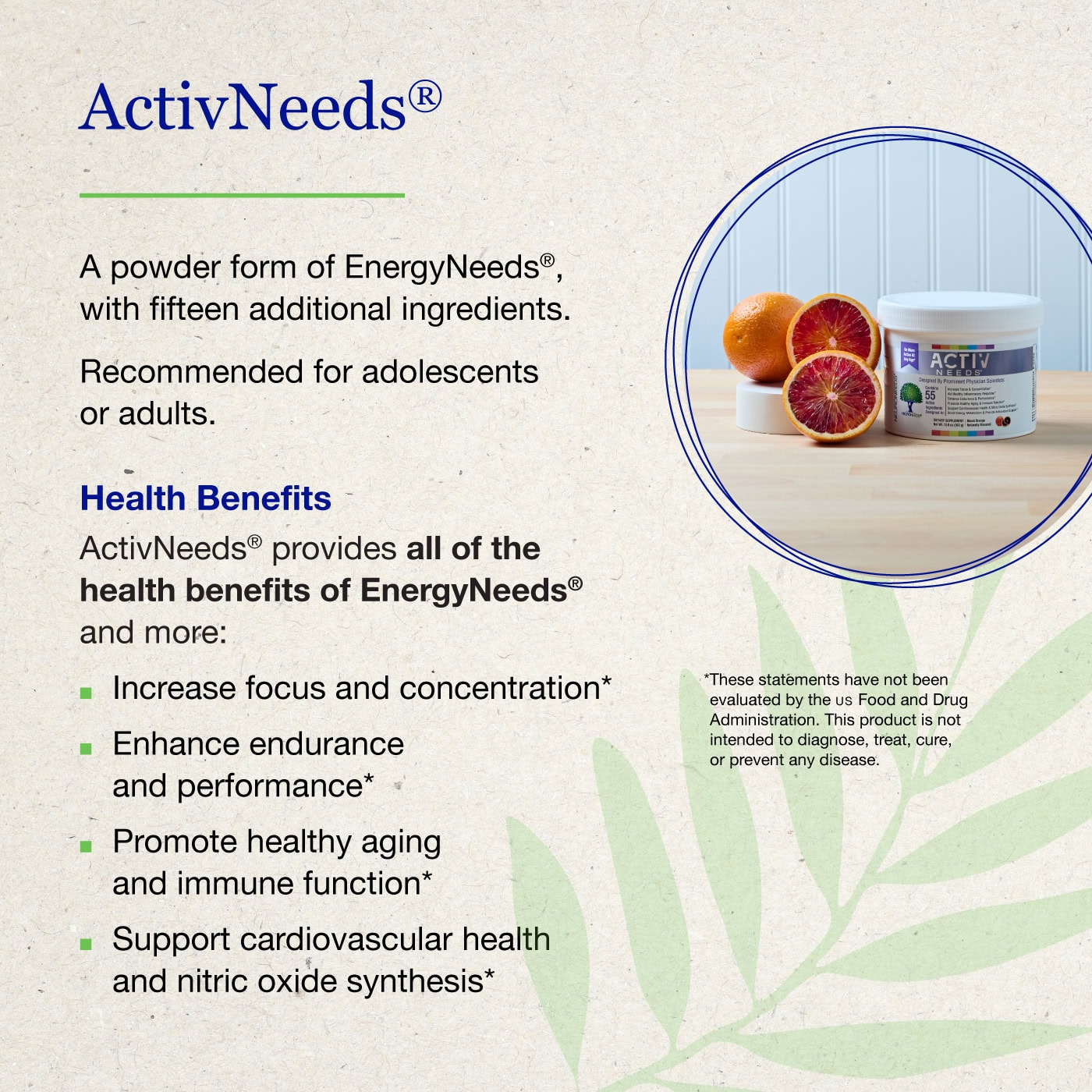 NeuroNeeds Bundles - Neuroneeds